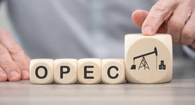 OPEC slashes 2026 oil demand growth forecast on OECD weakness